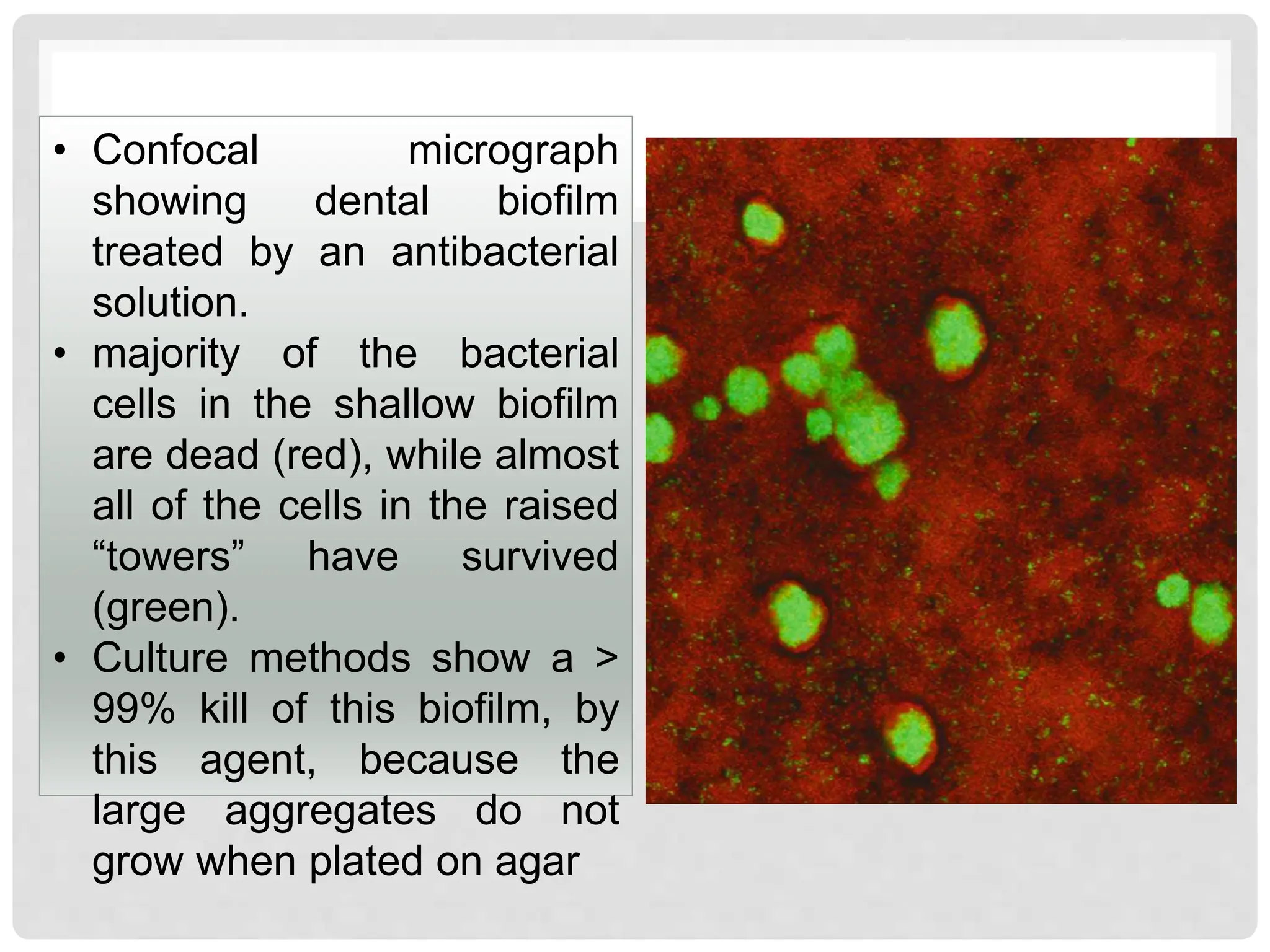 biofilm in periodontics - a tool in diagnosis.pptx