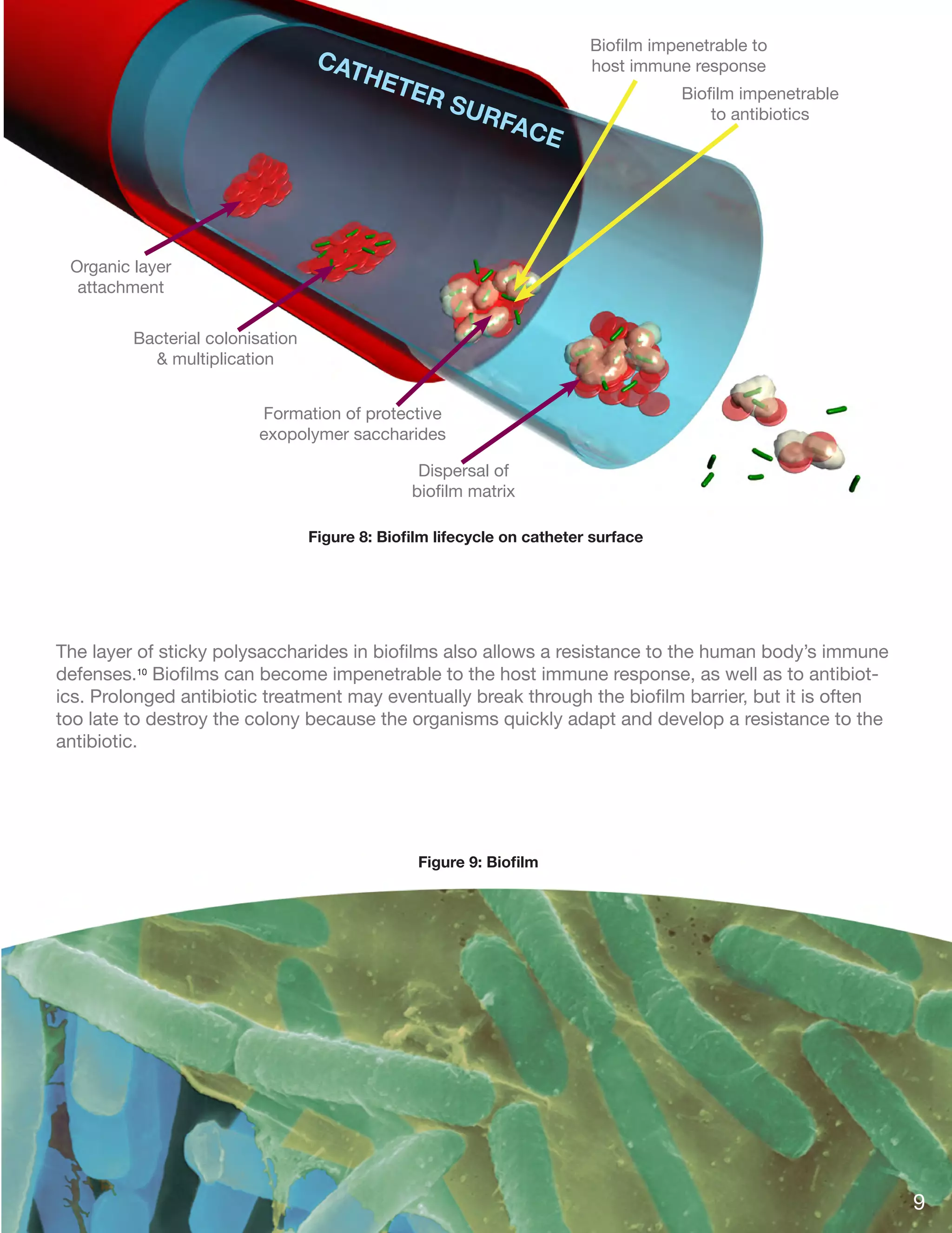 Getinge ATP Biofilm Course Booklet & Test | PDF