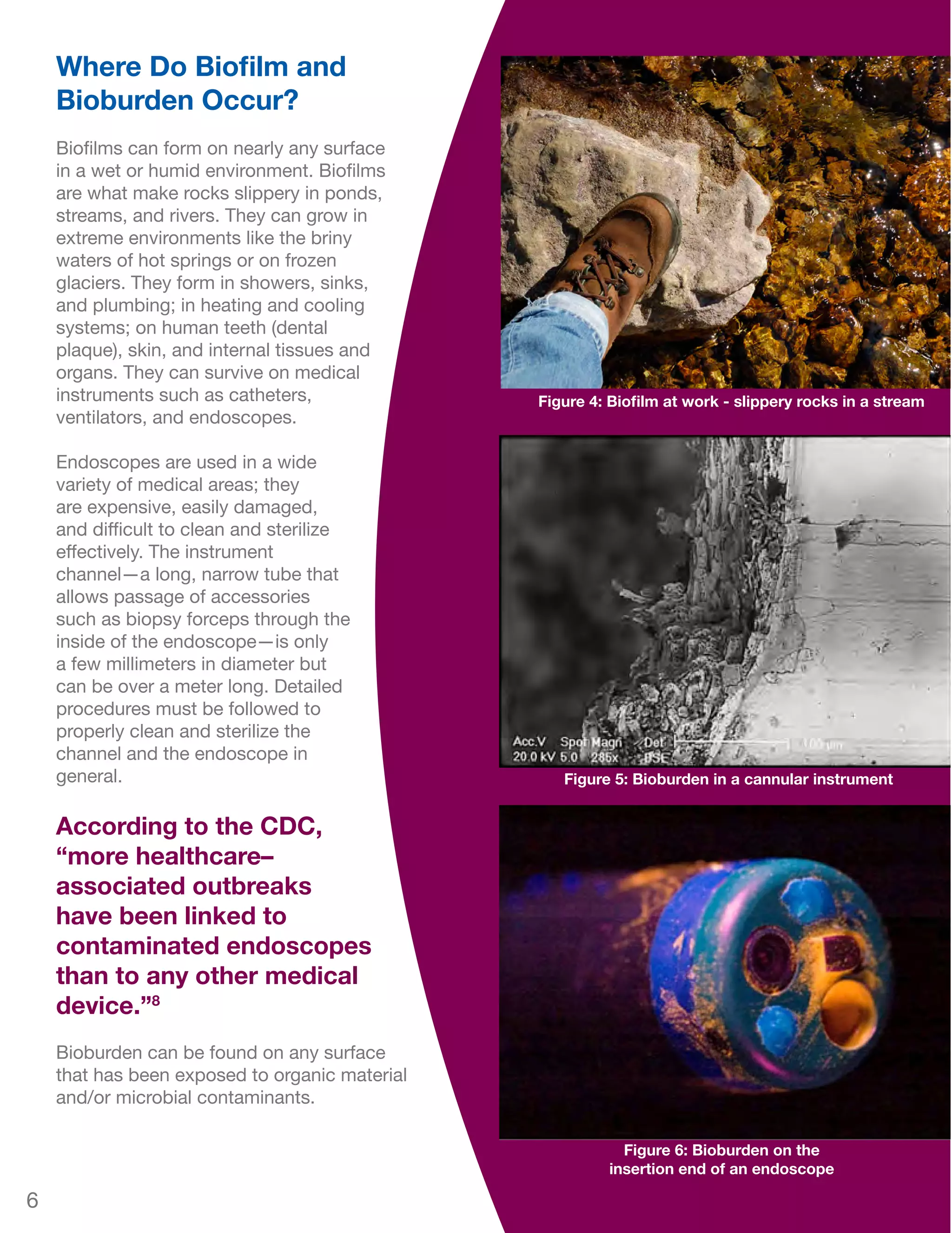 Getinge ATP Biofilm Course Booklet & Test | PDF