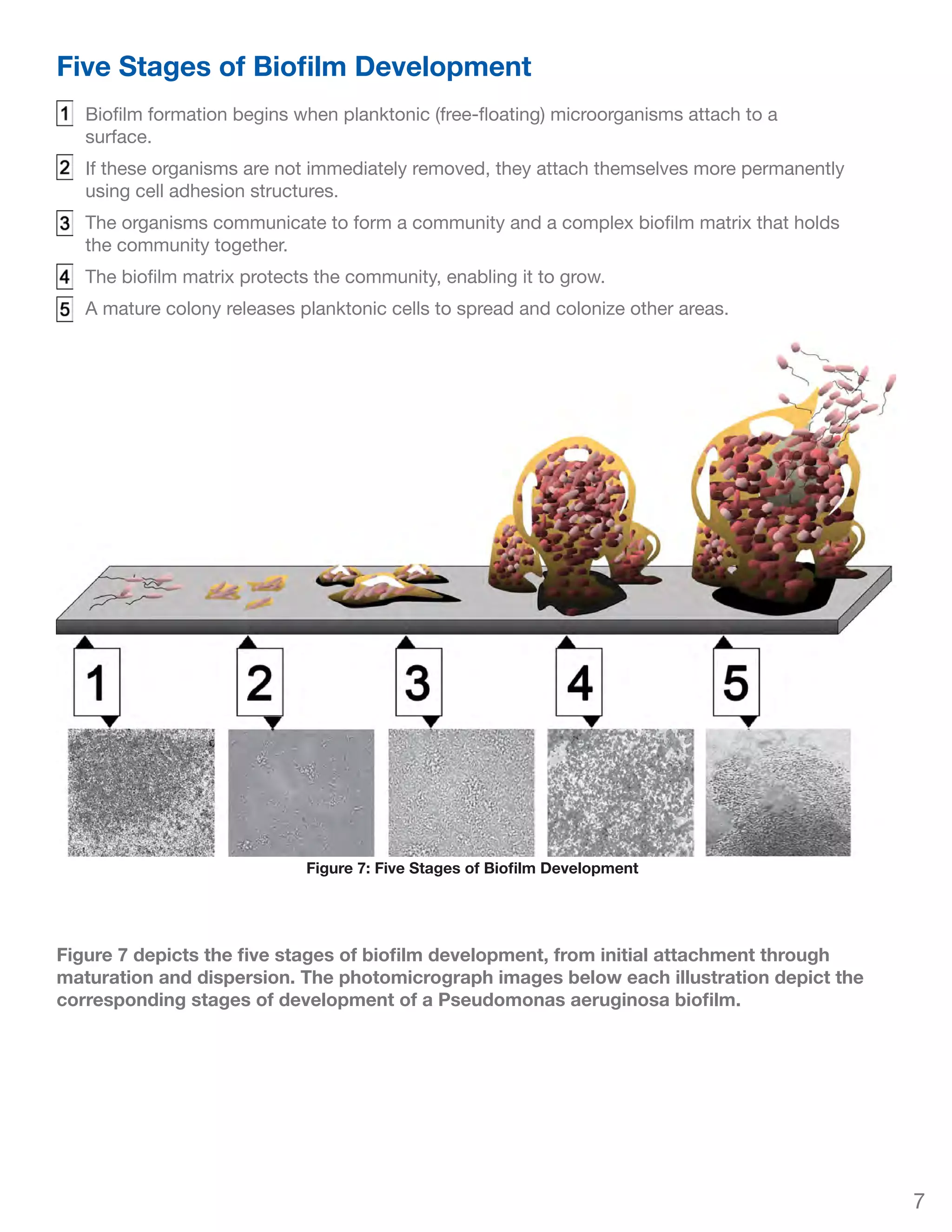 Getinge ATP Biofilm Course Booklet & Test | PDF