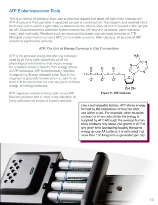 Getinge ATP Biofilm Course Booklet & Test | PDF