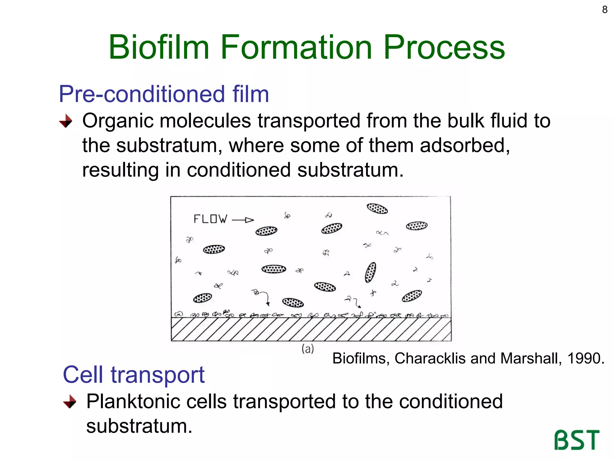 biofilm-Formation-ppt.pdf