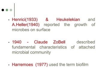 biofilm (2).pptx