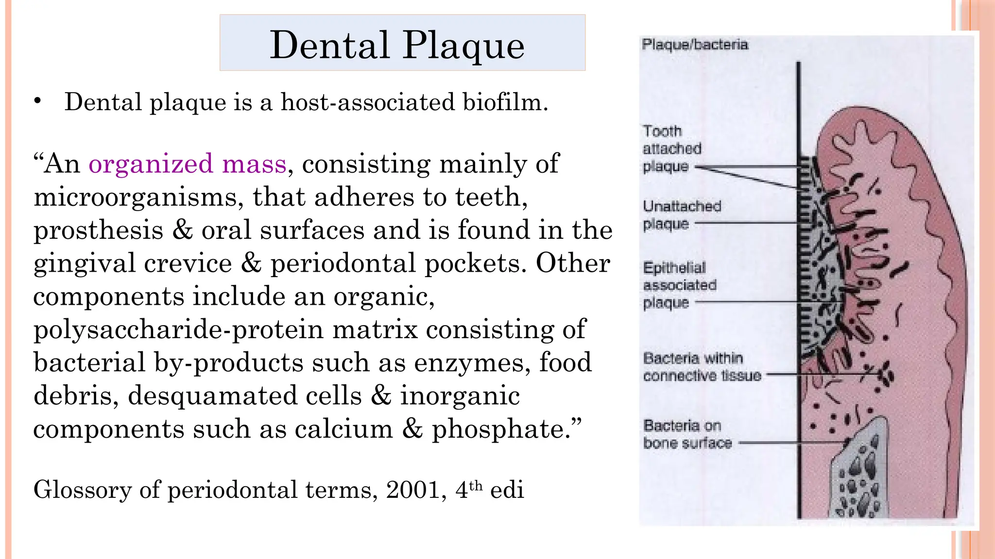 biofilm..a nuisance in oral cavity for dental disease | PPTX
