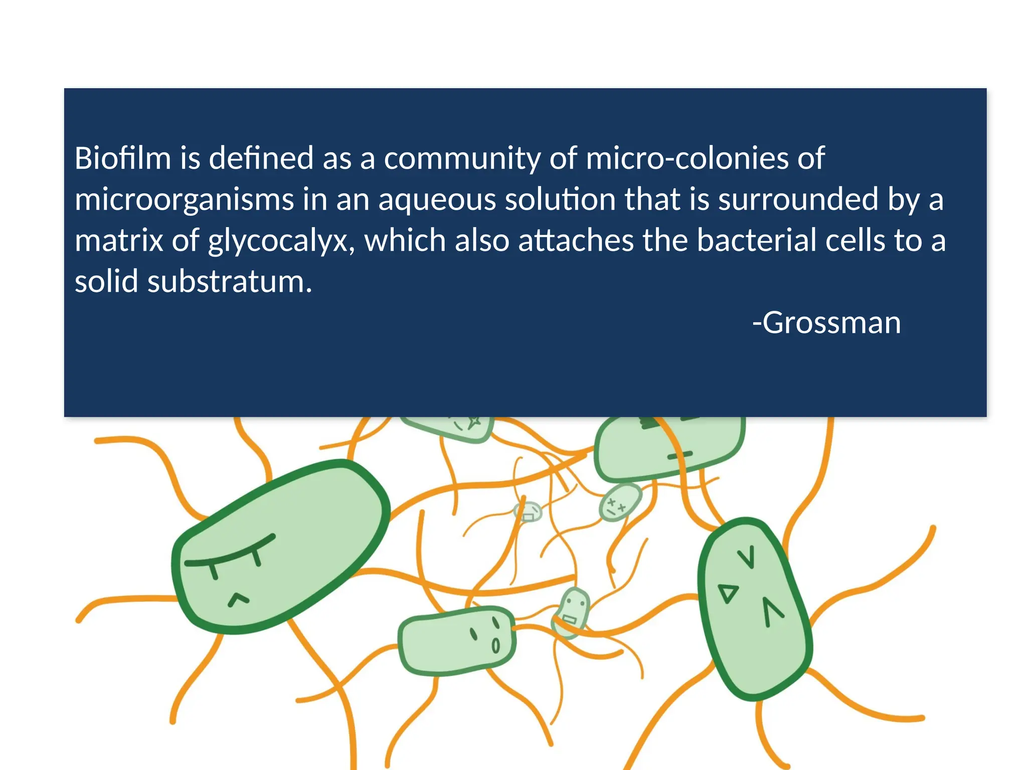 biofilm and its significance in endodontics.pptx