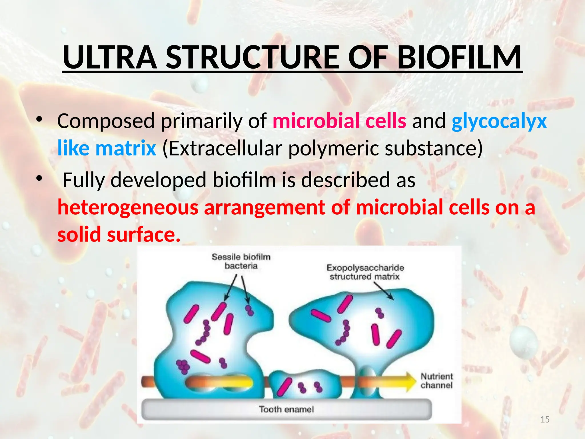 biofilm and its significance in endodontics.pptx | Dental Health | Diseases and Conditions