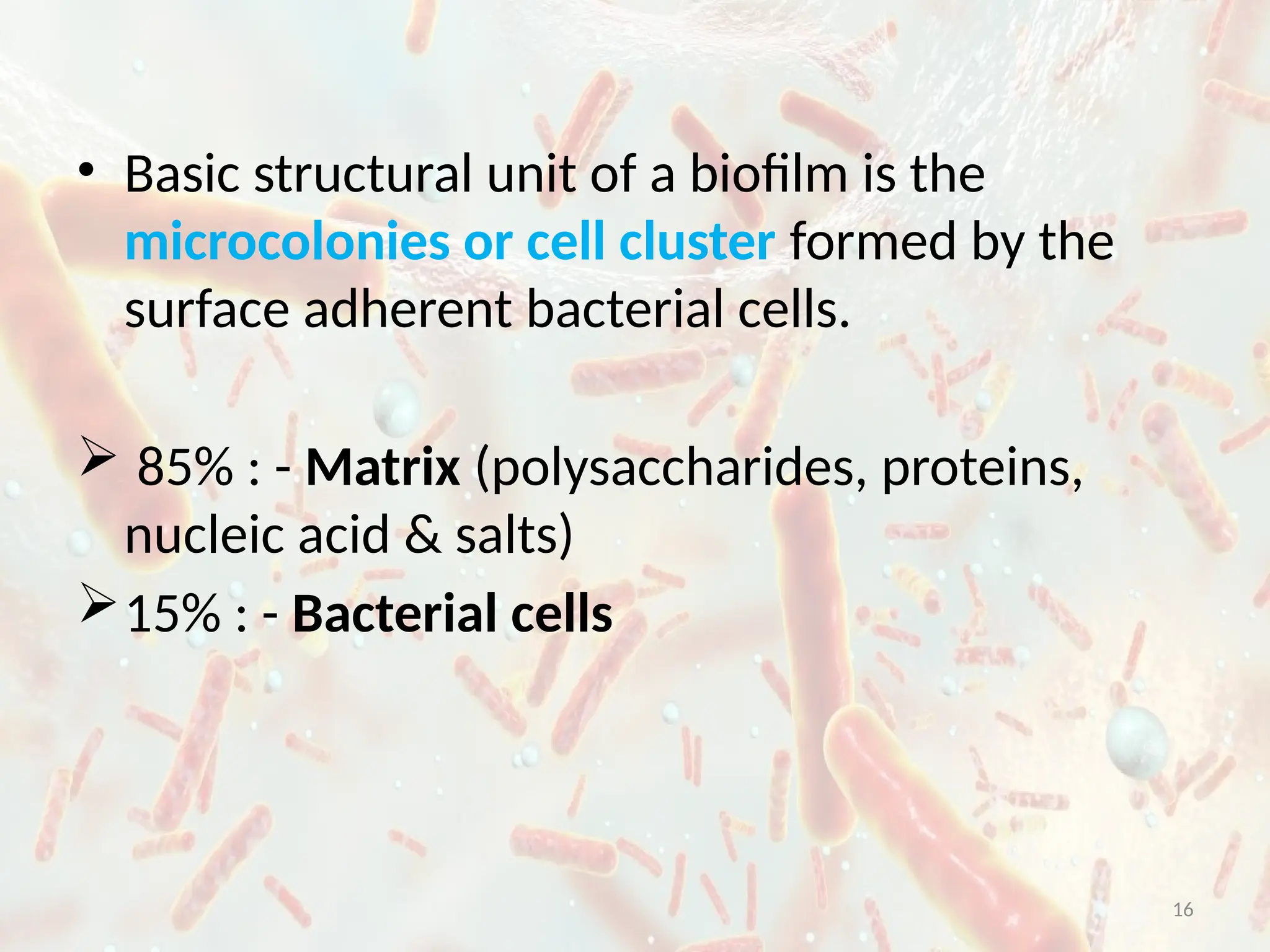 biofilm and its significance in endodontics.pptx | Dental Health | Diseases and Conditions