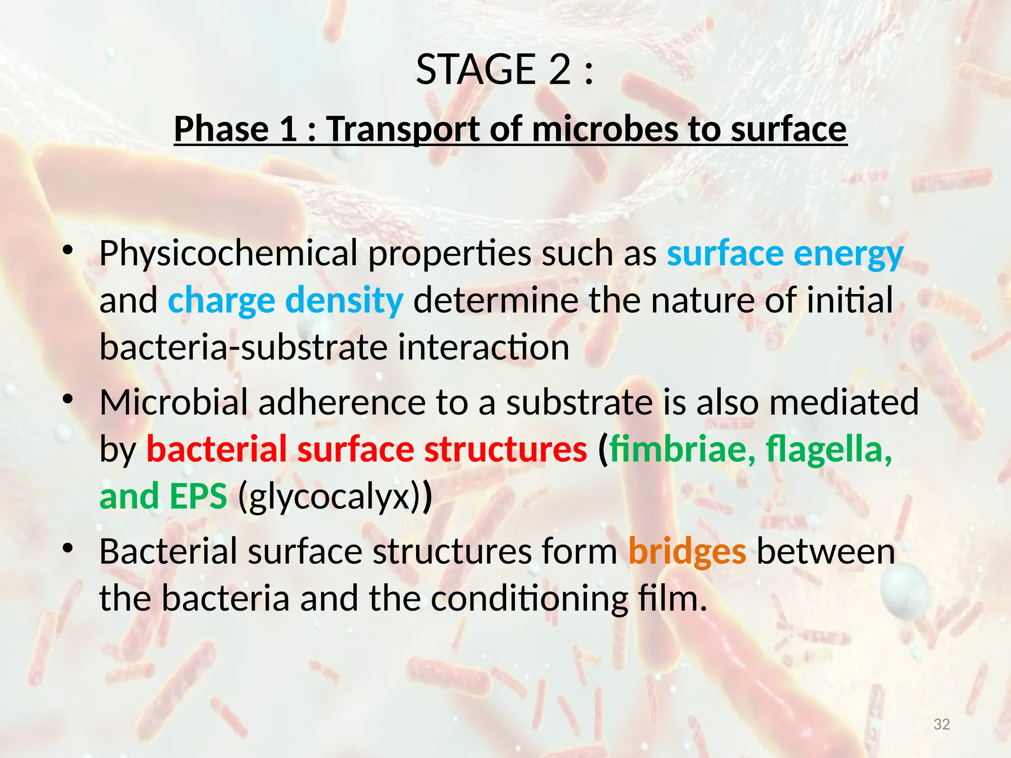 biofilm and its significance in endodontics.pptx | Dental Health | Diseases and Conditions