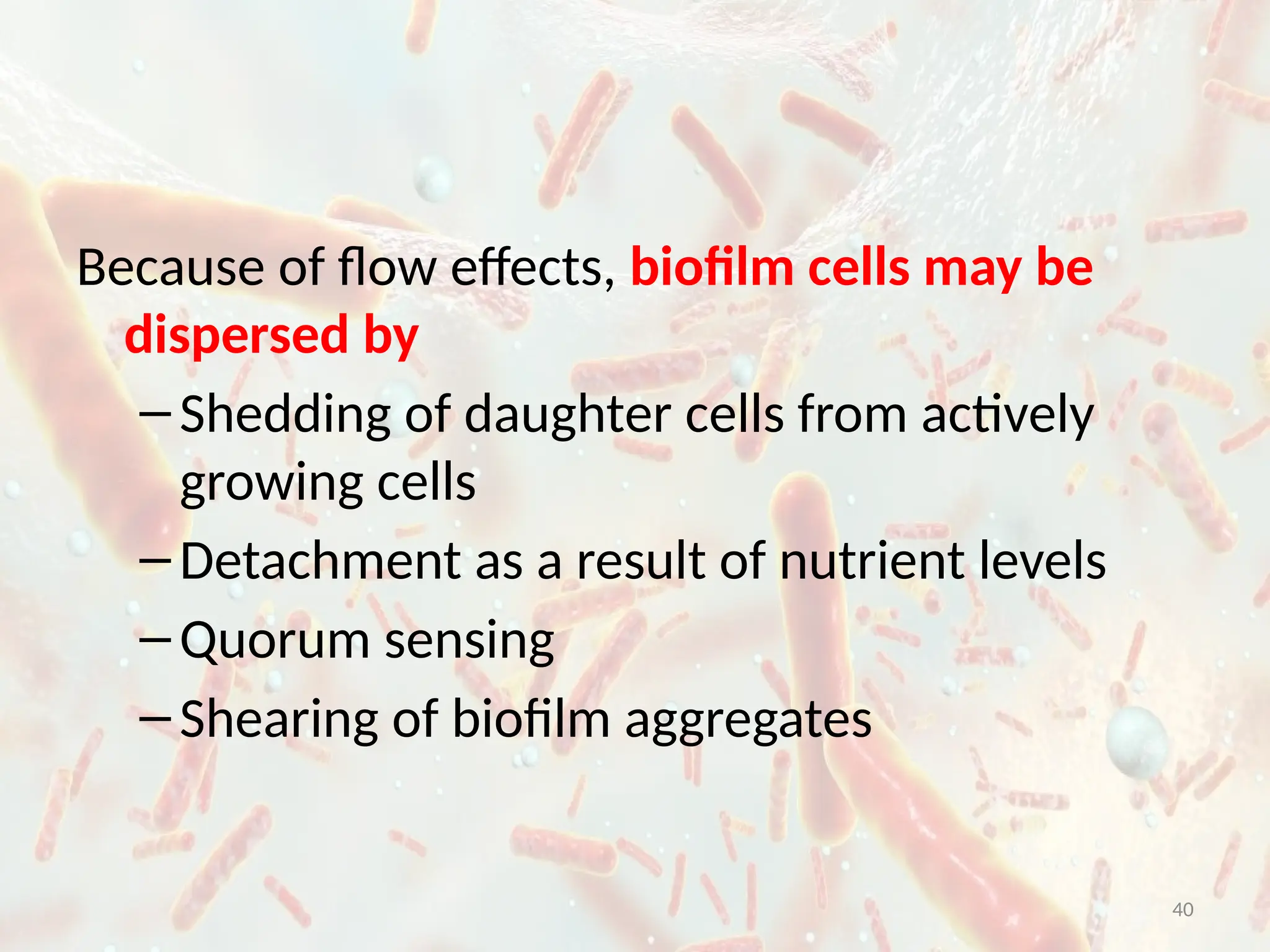 biofilm and its significance in endodontics.pptx | Dental Health | Diseases and Conditions