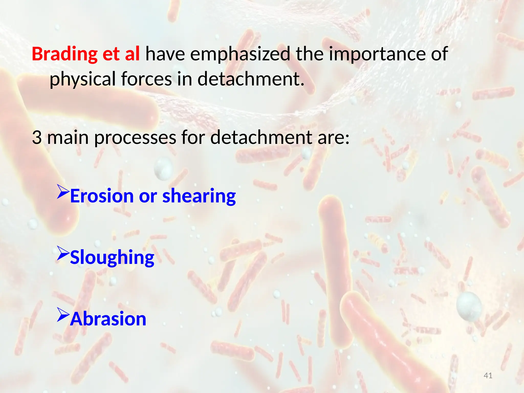 biofilm and its significance in endodontics.pptx | Dental Health | Diseases and Conditions