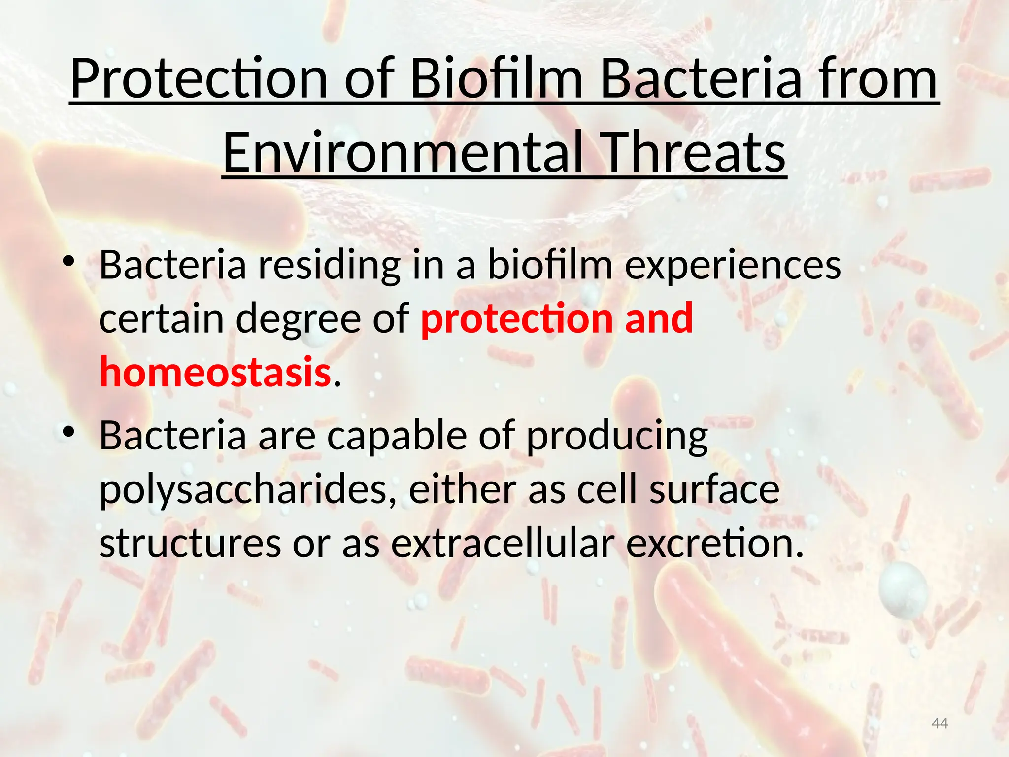 biofilm and its significance in endodontics.pptx | Dental Health | Diseases and Conditions