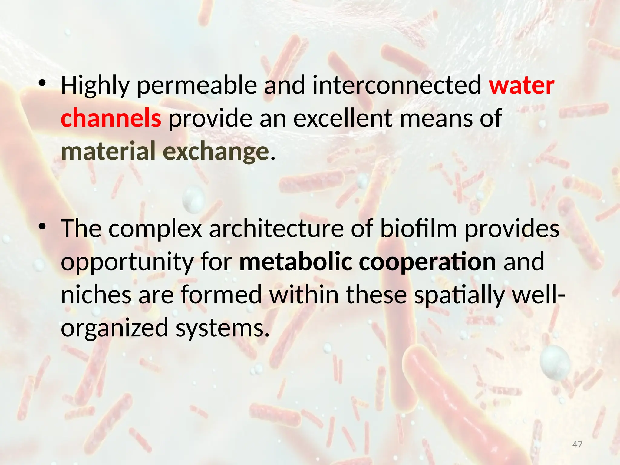 biofilm and its significance in endodontics.pptx | Dental Health | Diseases and Conditions