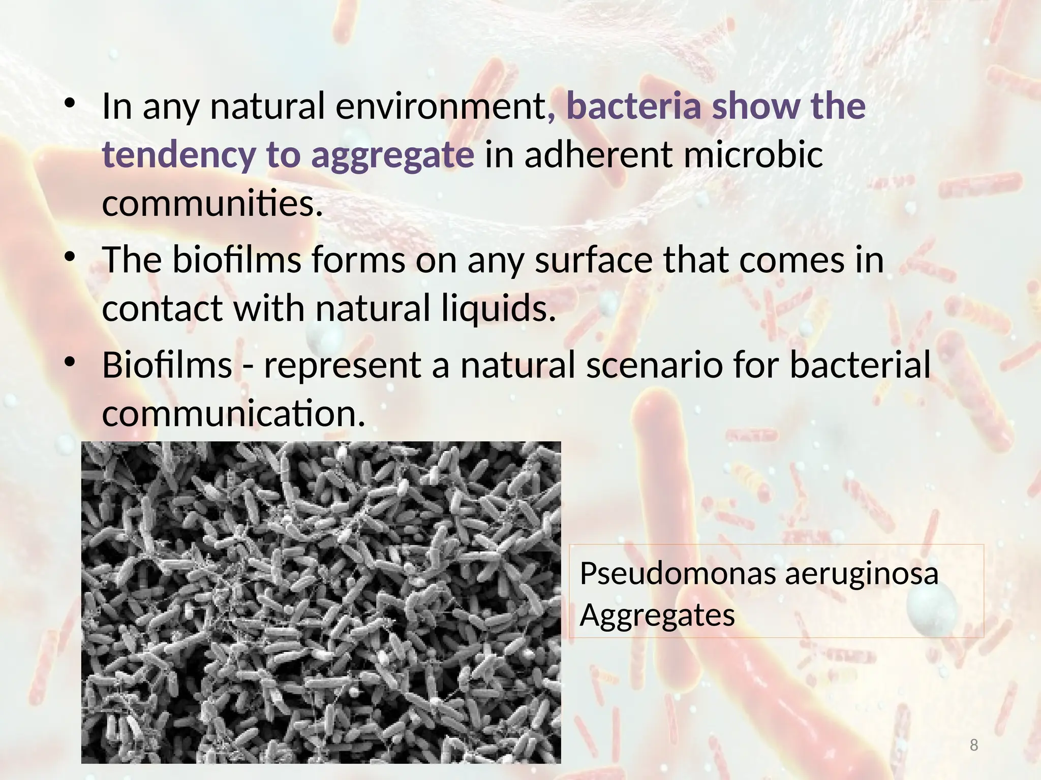 biofilm and its significance in endodontics.pptx | Dental Health | Diseases and Conditions