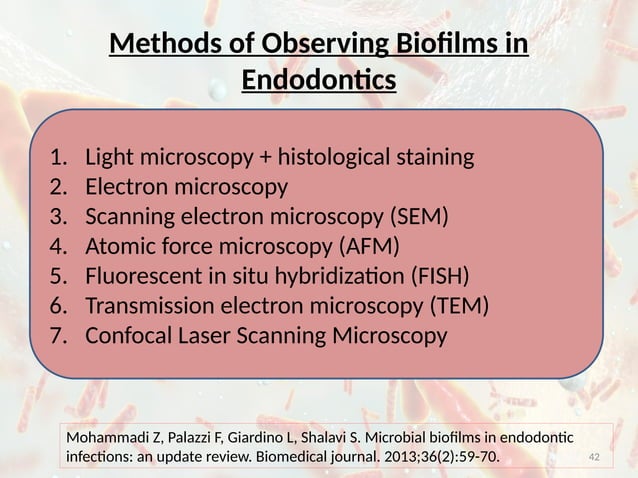 biofilm and its significance in endodontics.pptx | Dental Health | Diseases and Conditions