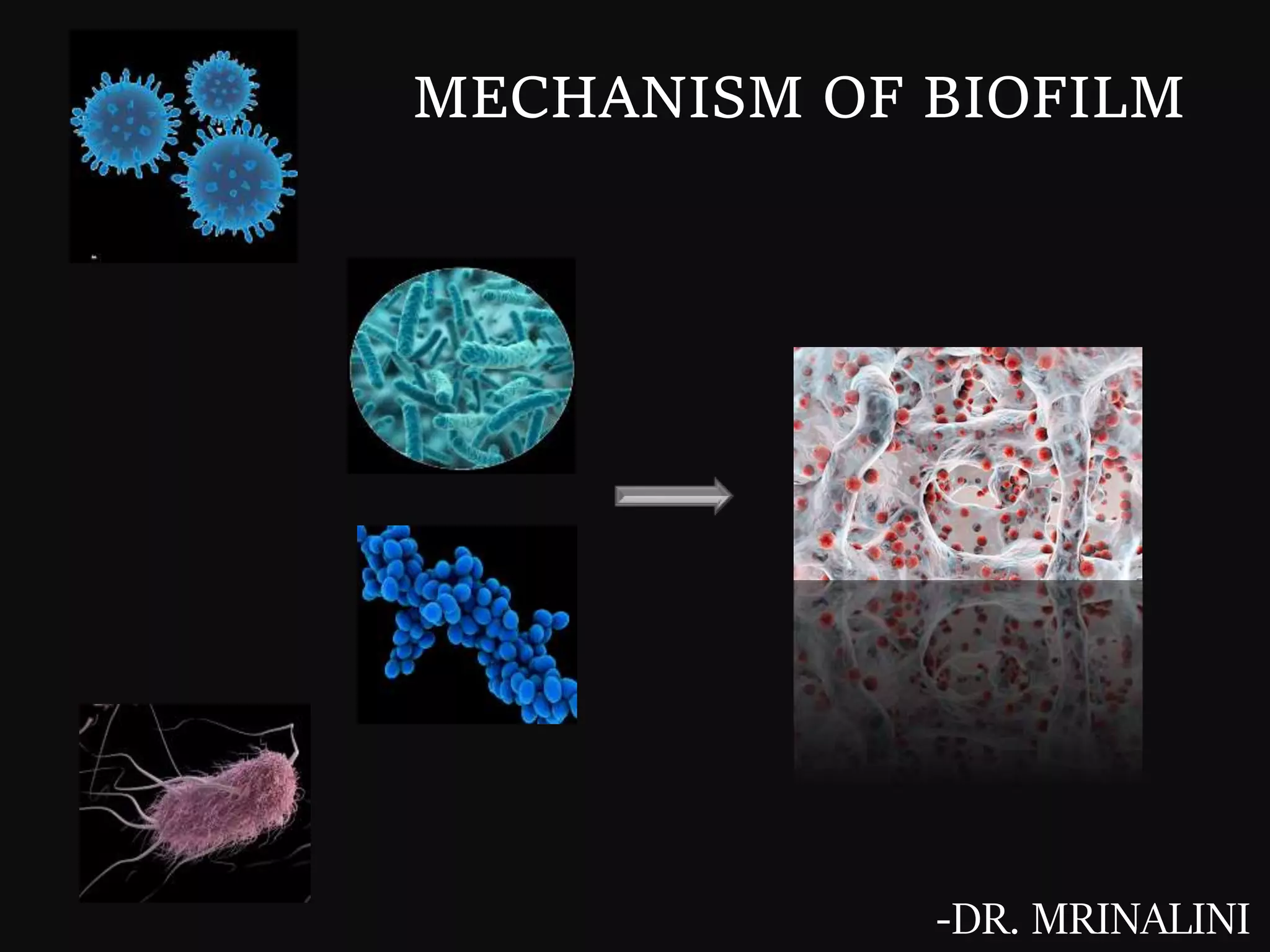 Biofilm basics | PPT