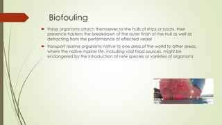 Biofilm, Biofouling.pdf