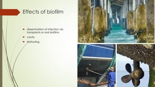 Biofilm, Biofouling.pdf