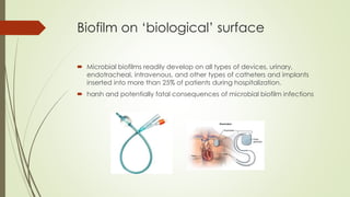 Biofilm, Biofouling.pdf