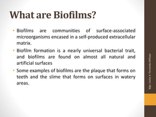 Biofilms | PPTX