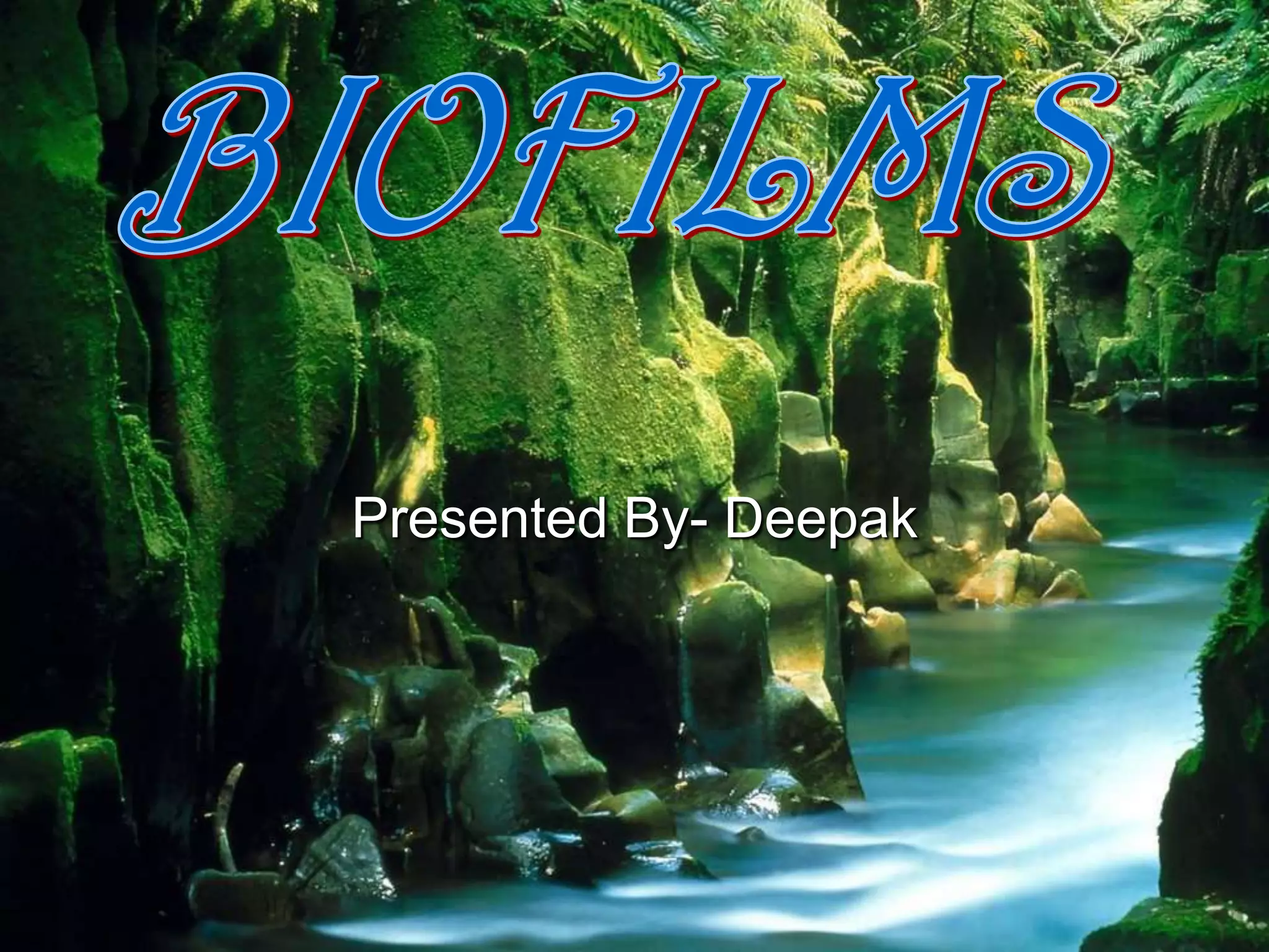 BioFilms | PPT