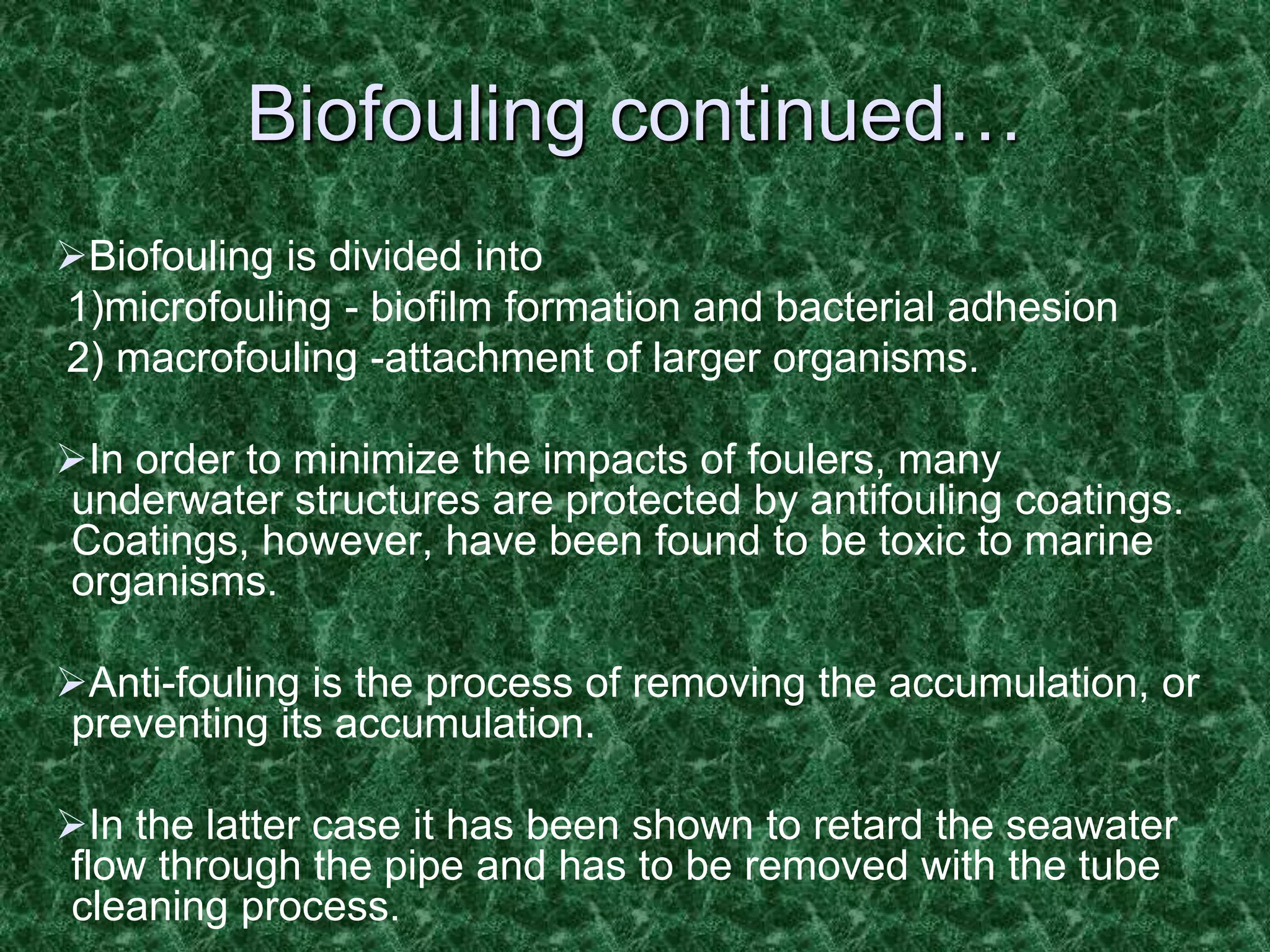 BioFilms | PPT