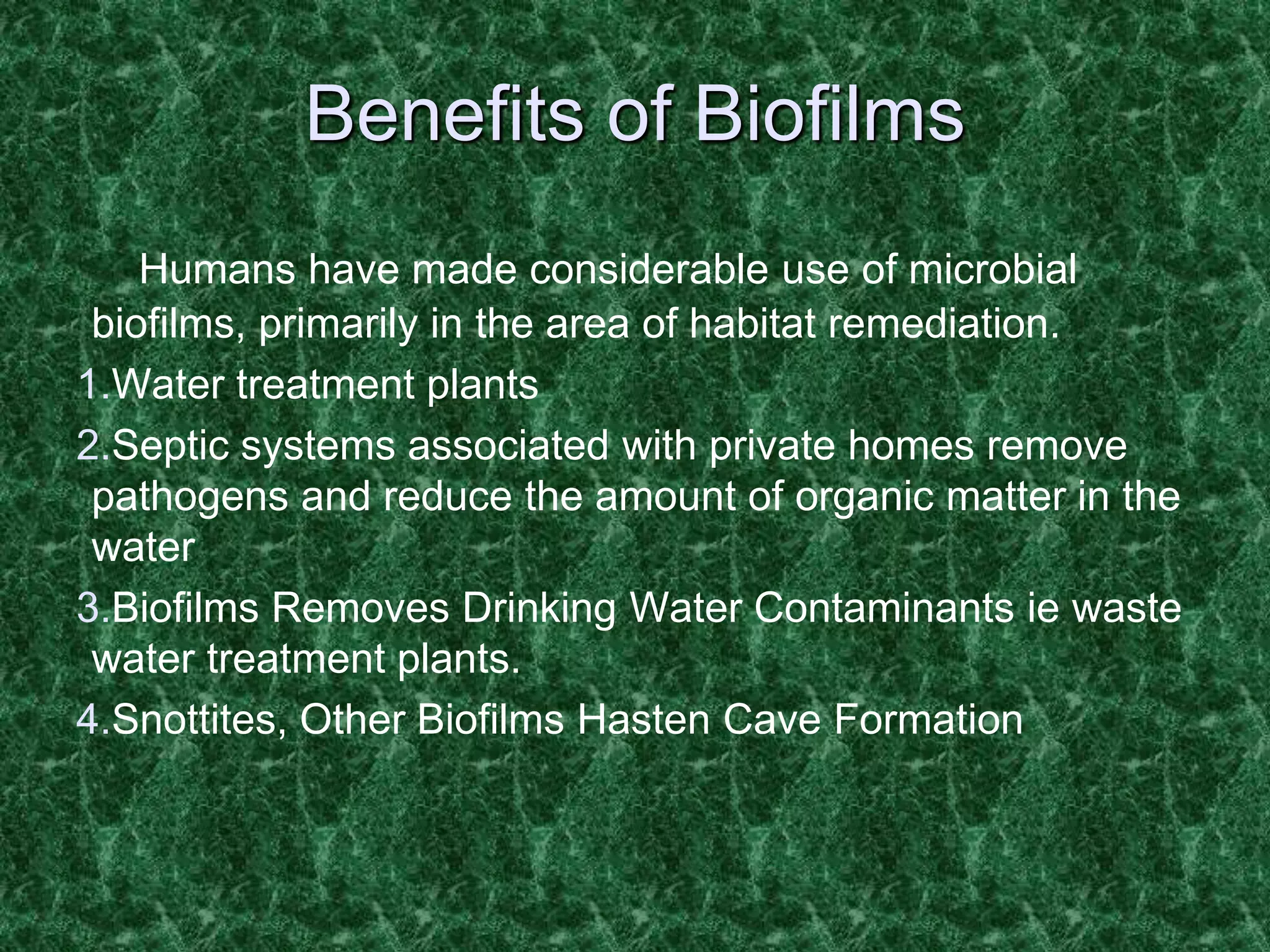 BioFilms | PPT