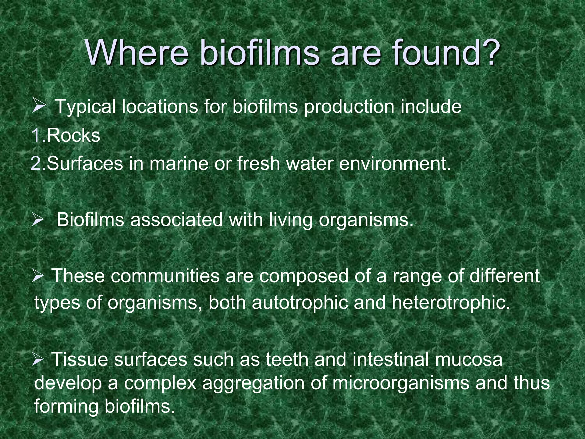 BioFilms | PPT