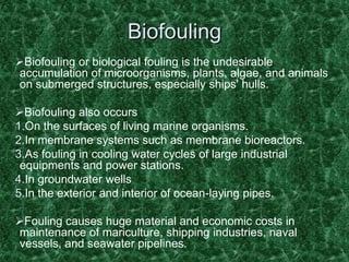 BioFilms | PPT