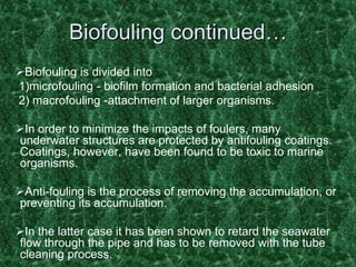 BioFilms | PPT