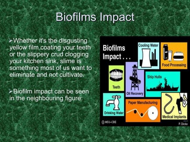 BioFilms | PPT