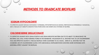 BIOFILM IN ENDODONTICD-1.pptx characteristics | PPTX