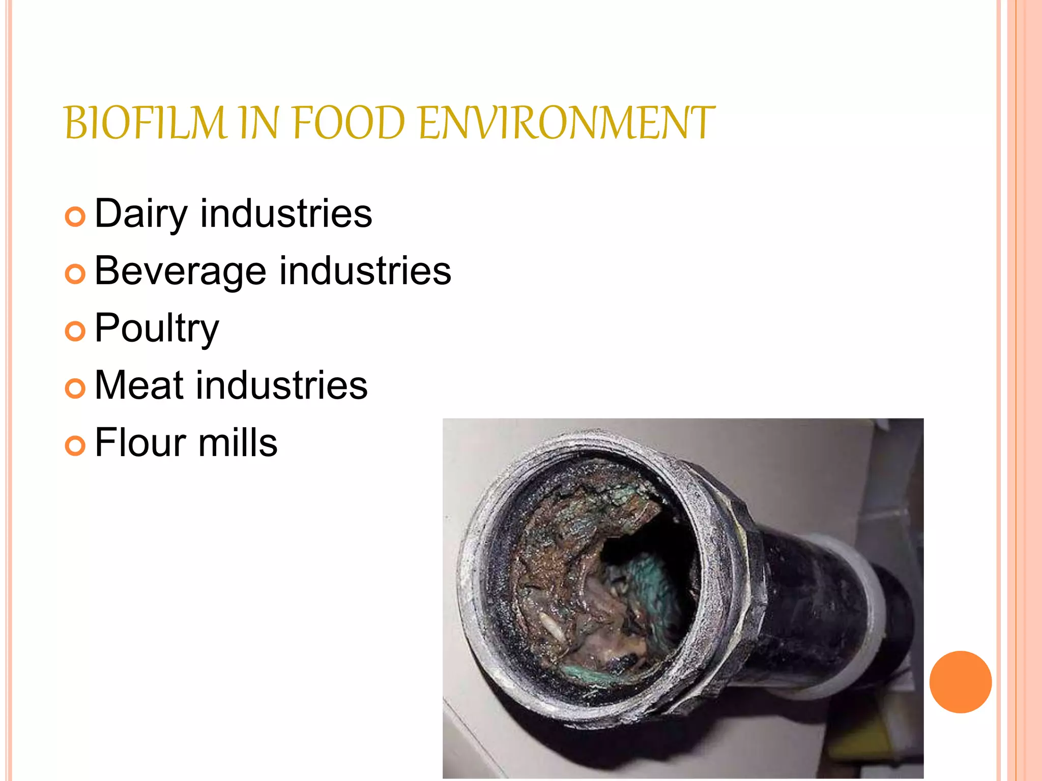 Biofilm in food industries 1 | PPTX