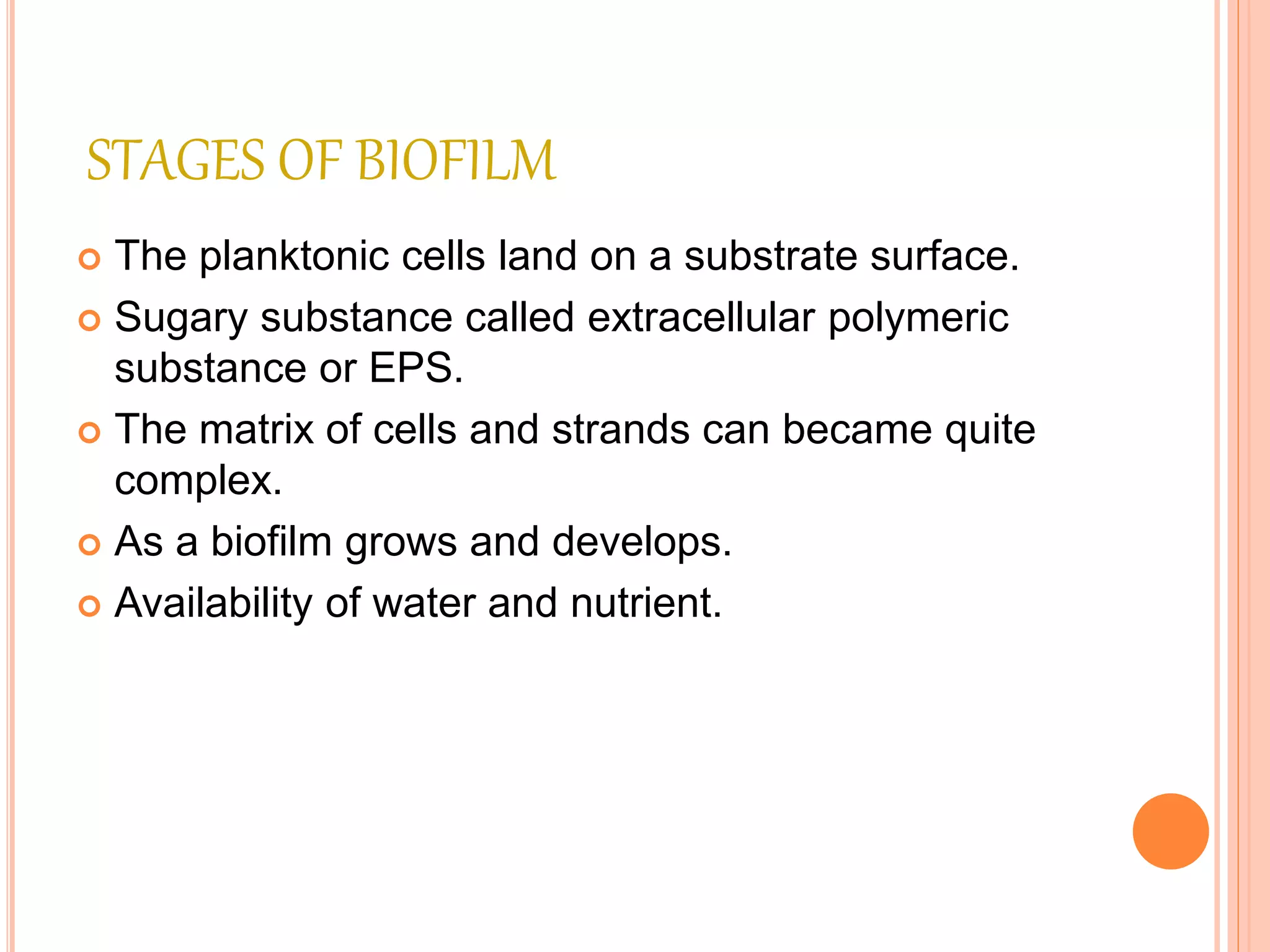 Biofilm in food industries 1 | PPTX