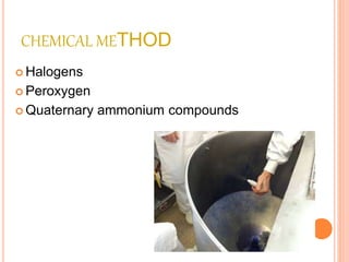 Biofilm in food industries 1 | PPTX
