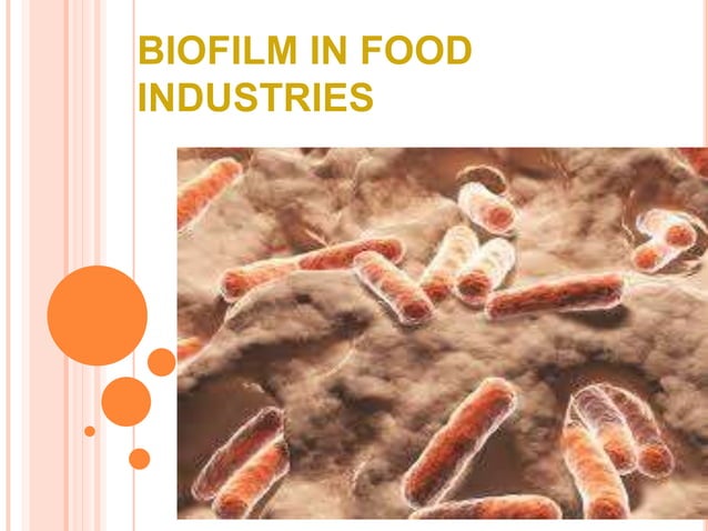 Biofilm in food industries 1 | PPTX