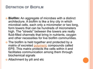 Biofilm information in pathogen bacteria | PPT