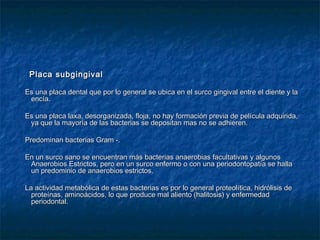 Biofilm oral | PPT