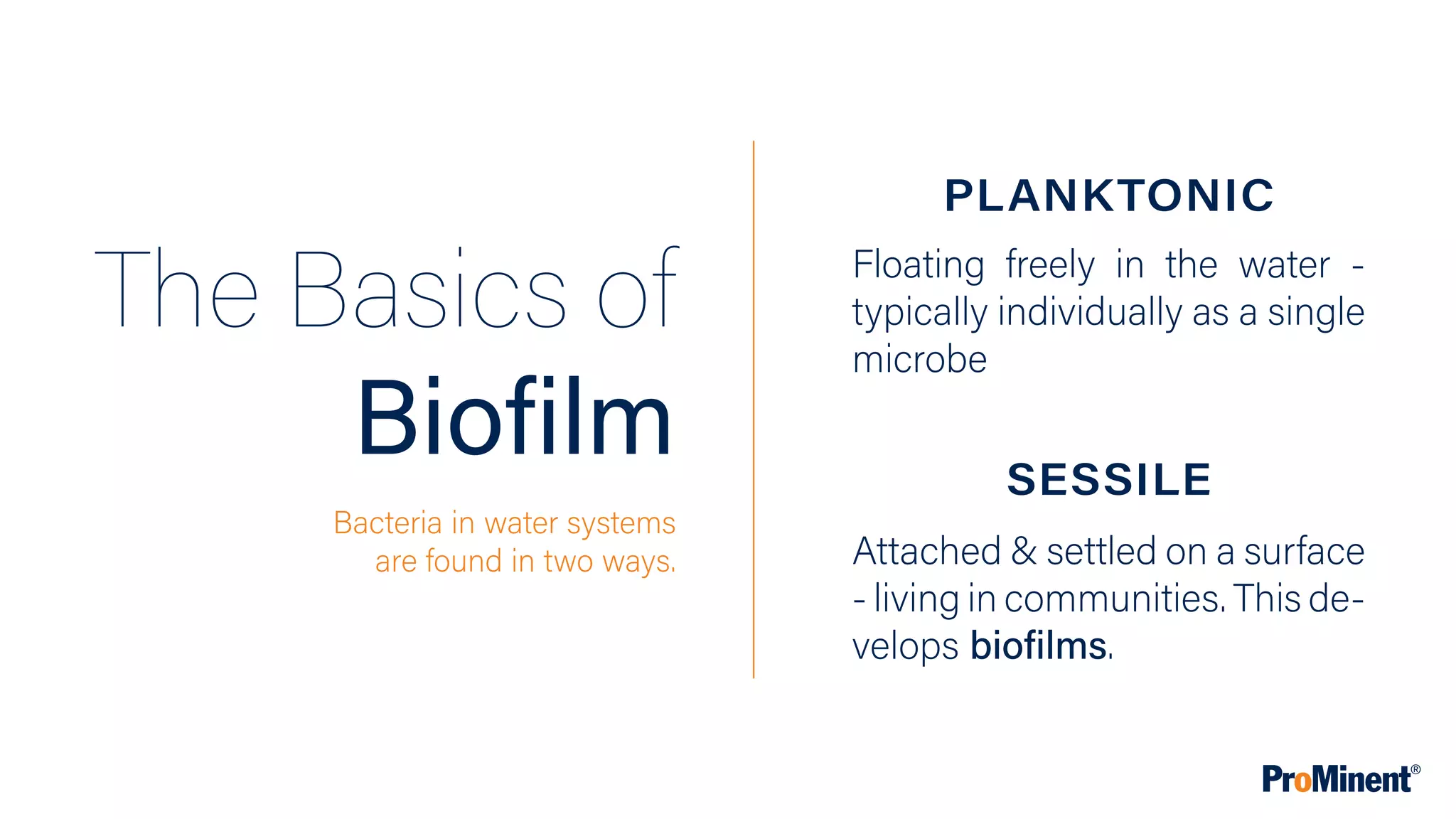 Biofilm Control: Treatment with Chlorine Dioxide | PDF