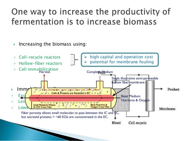 Biofilm reactors