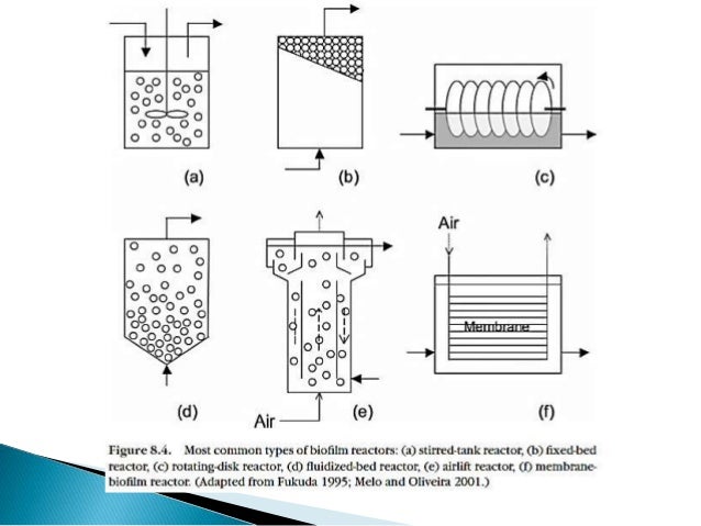 Biofilm reactors