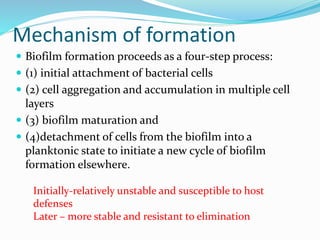 Biofilms | PPTX