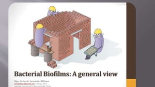 Biofilms | PPT