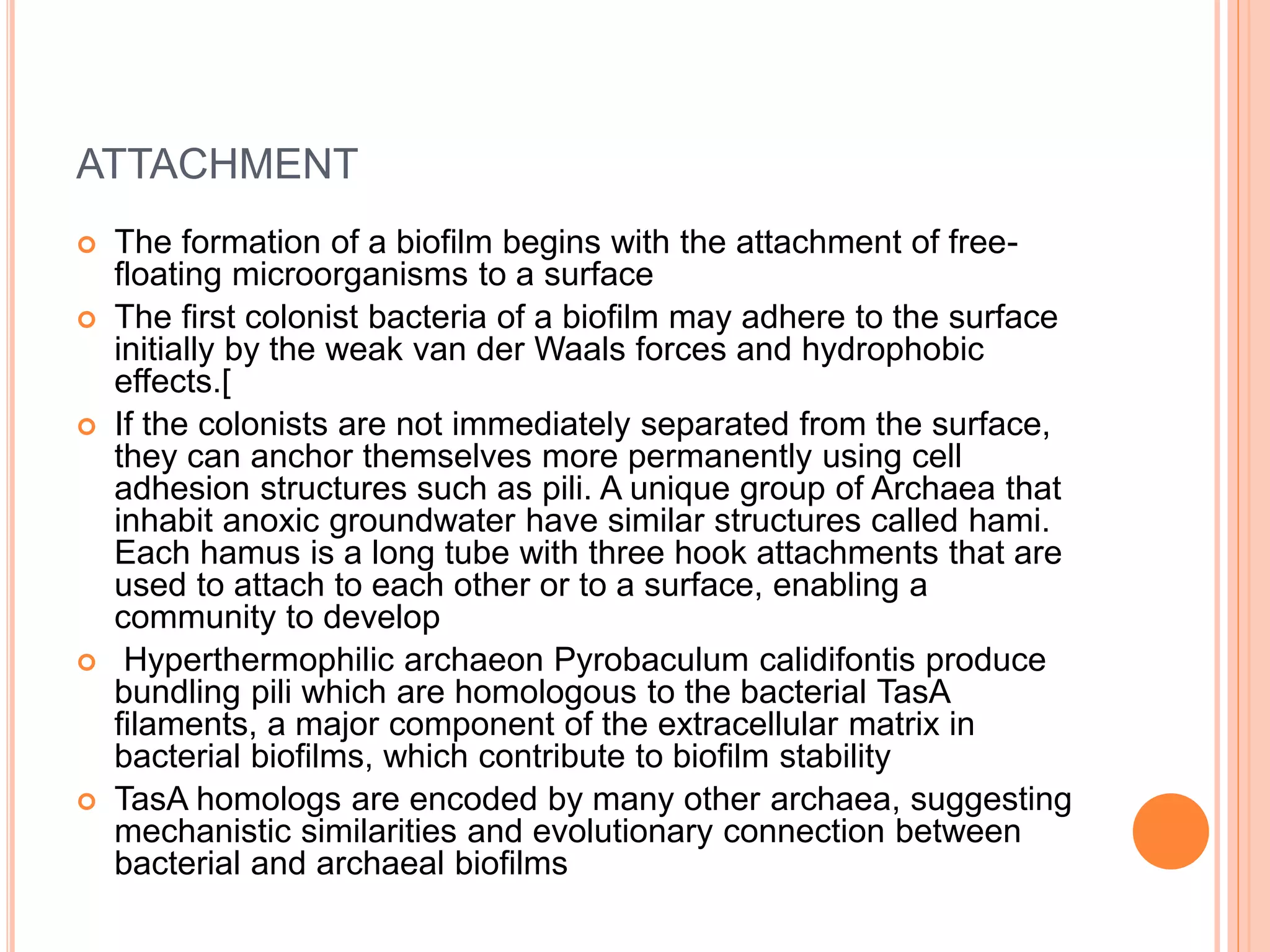 BIOFILMS.pptx | Geology | Science