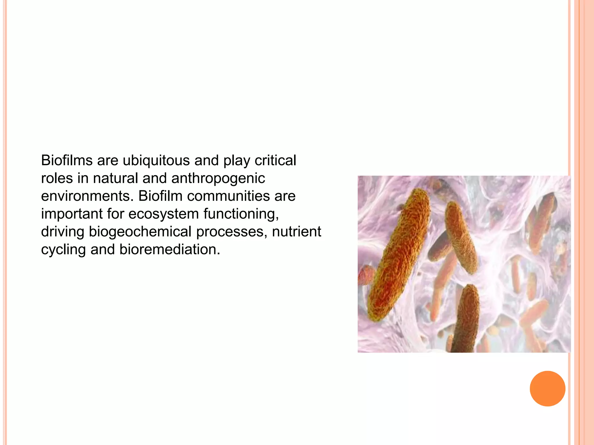 BIOFILMS.pptx | Geology | Science