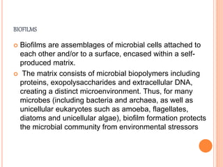 BIOFILMS.pptx