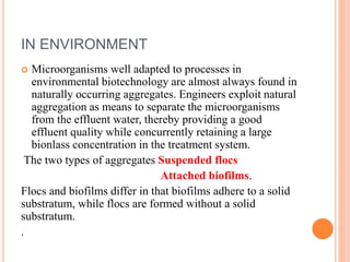 BIOFILMS.pptx