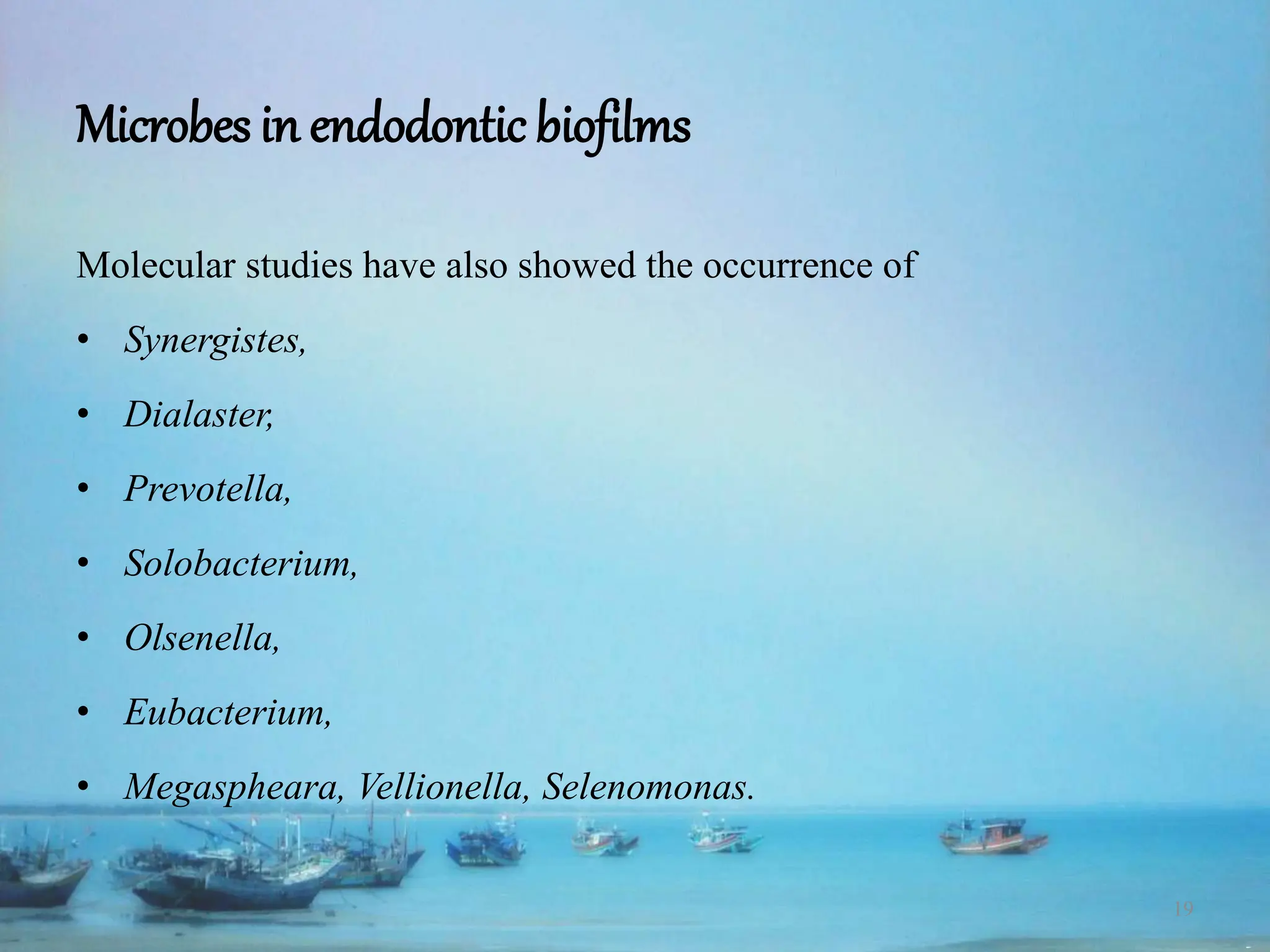 Endodontic Biofilms and management..pptx
