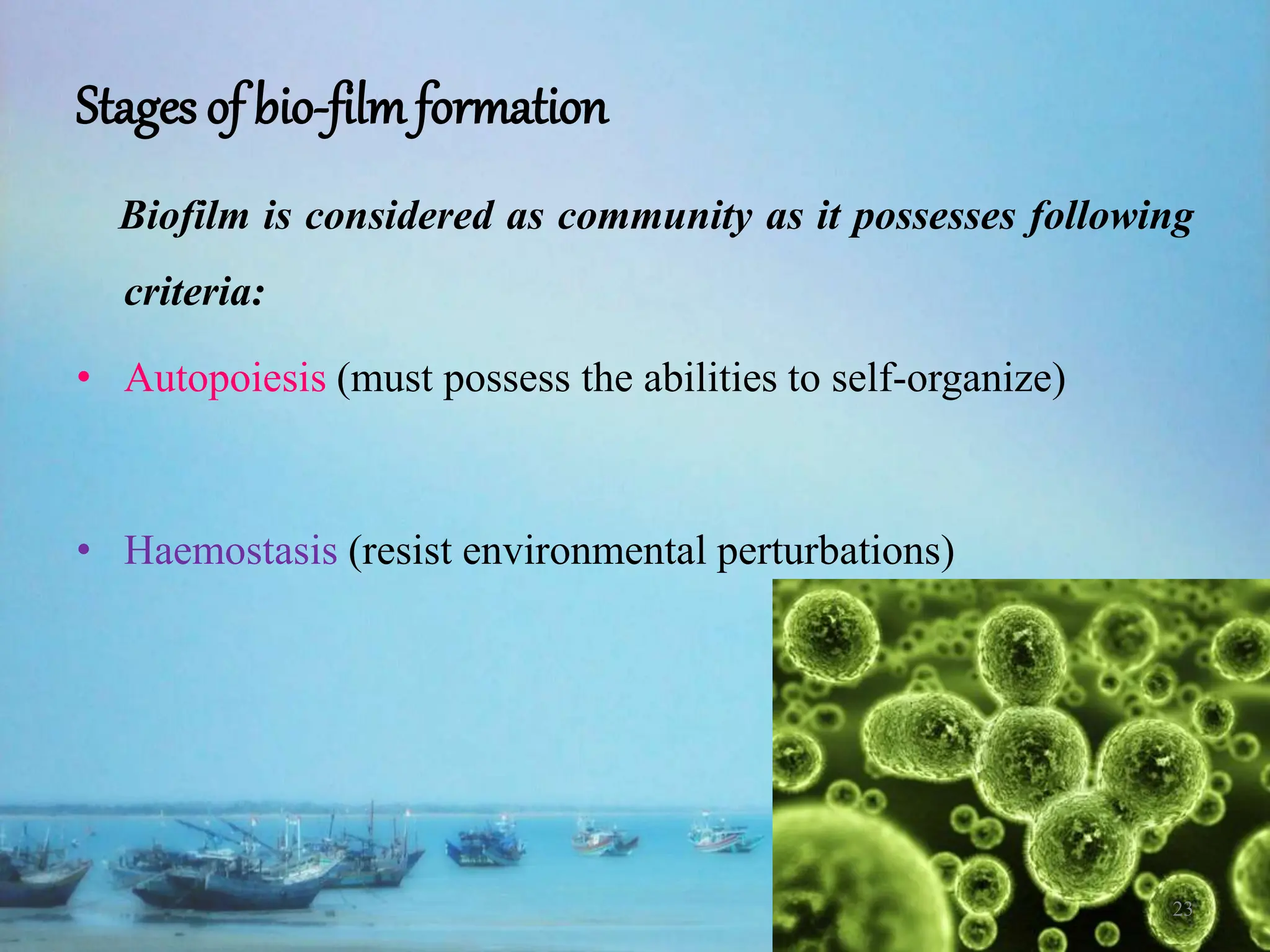 Endodontic Biofilms and management..pptx