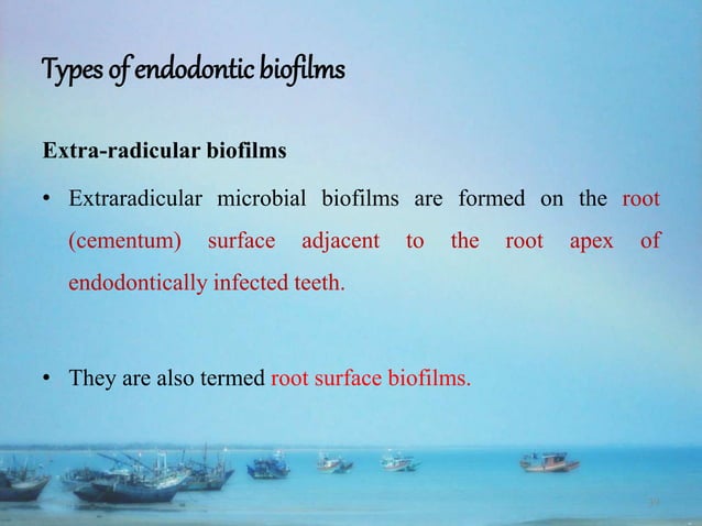 Endodontic Biofilms and management..pptx | Dental Health | Diseases and Conditions