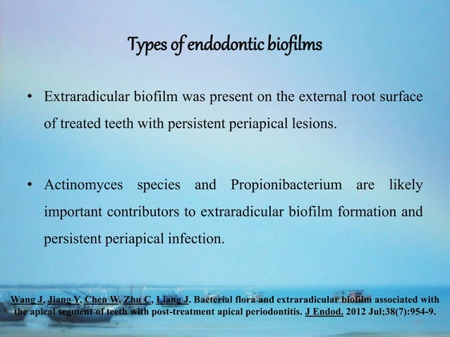 Endodontic Biofilms and management..pptx | Dental Health | Diseases and Conditions